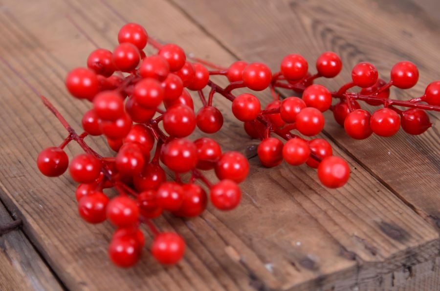 5-unit berries sticks pack