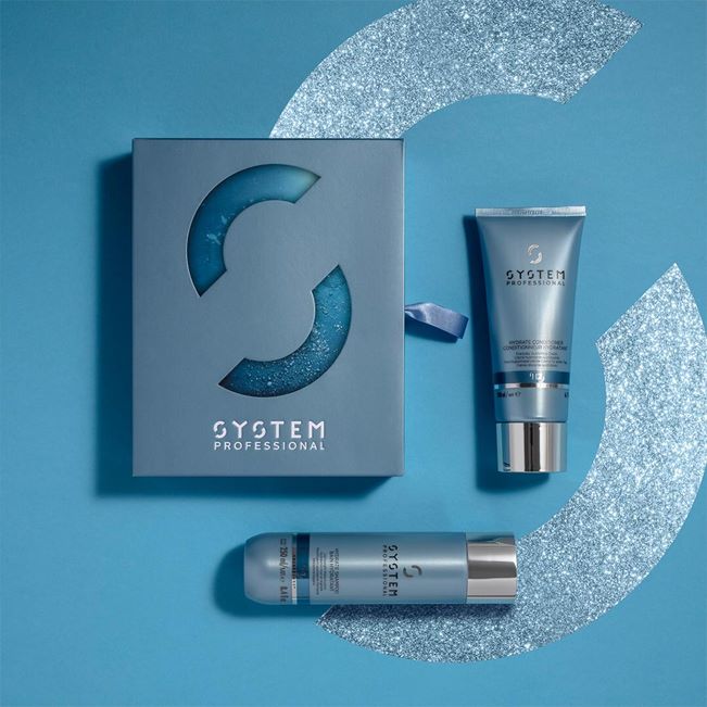 Hydrate Shampoo 250ml System Professional